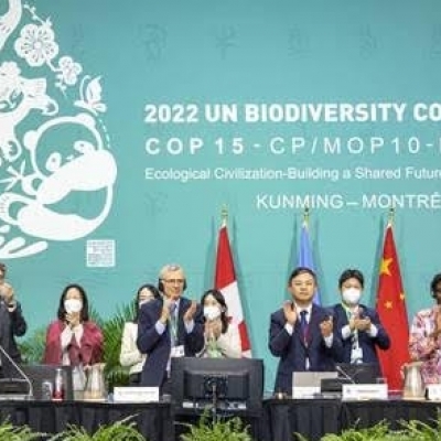 COP15 define meta de conservar 30% da biodiversidade até 2030 | Brasilagro