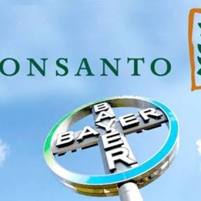 Bayer e Monsanto reforçarão aposta em tecnologia digital | Brasilagro