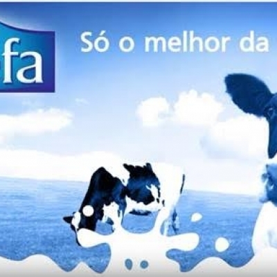 Shefa vai apresentar novo plano de recuperação aos credores em março ...