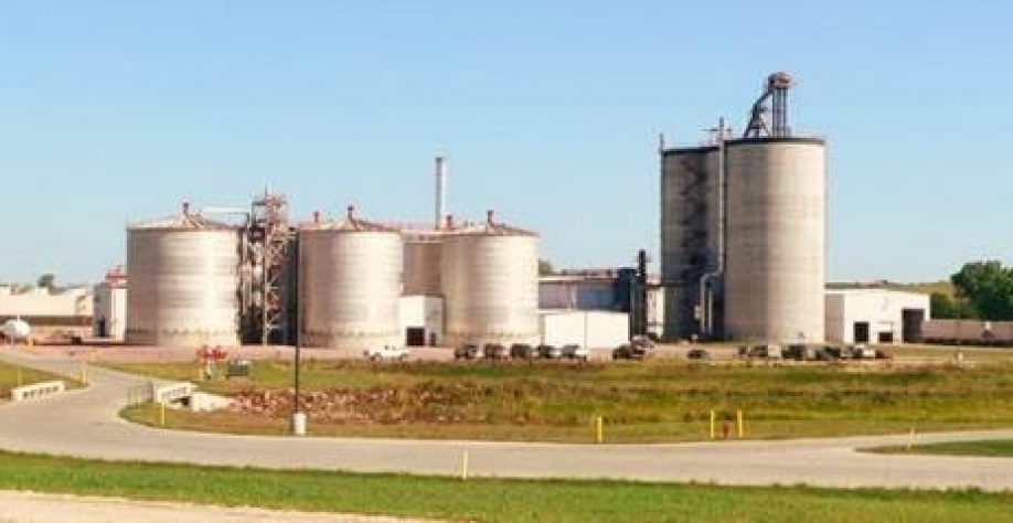 Biorrefinarias entram no foco de DSM e Amyris | Brasilagro