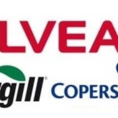 Açúcar: Alvean assina contrato de longo prazo com Al Khaleej, de Dubai ...