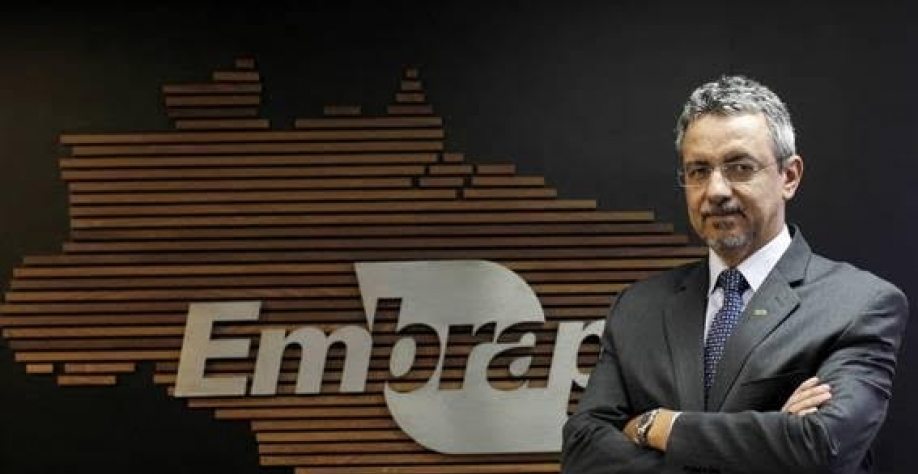 Após seis anos, presidente da Embrapa deixará cargo em outubro | Brasilagro