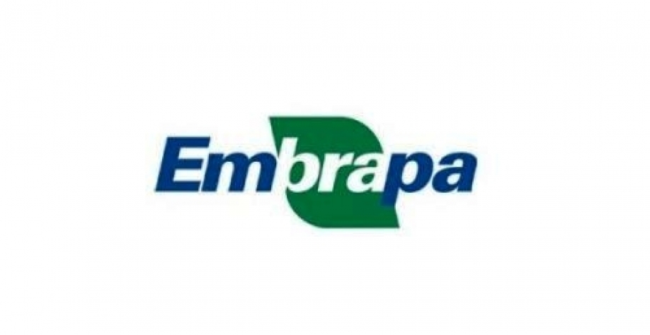 Embrapa inicia processo seletivo para escolha de novo presidente ...
