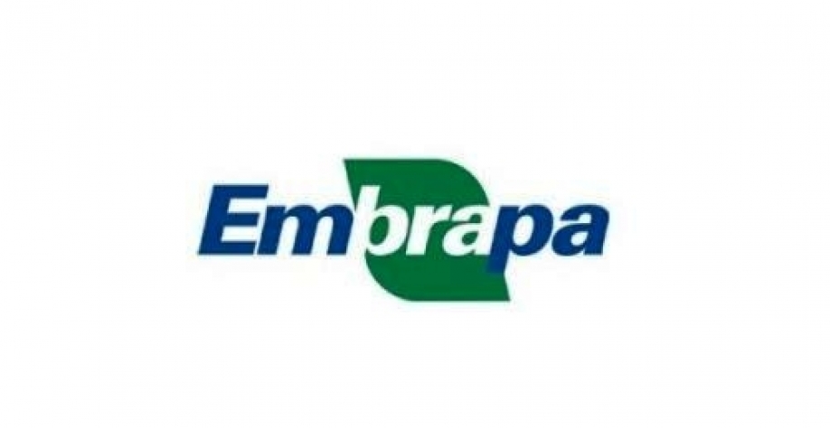 Presidência da Embrapa tem 16 candidatos inscritos | Brasilagro