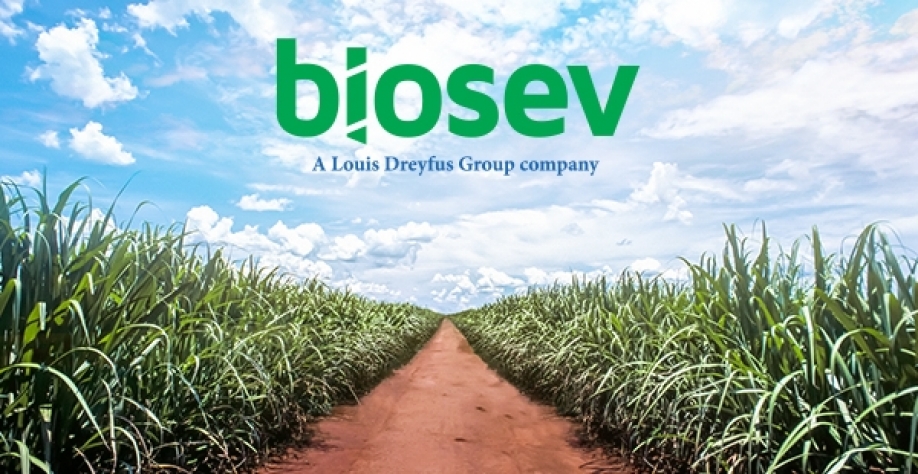 Biosev:Moagem cai 15,8% no 3º trim.;é estável em 9 meses da safra 2019/ ...