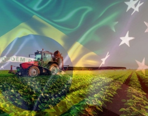 Agronegócio do Brasil produz boas notícias | Brasilagro