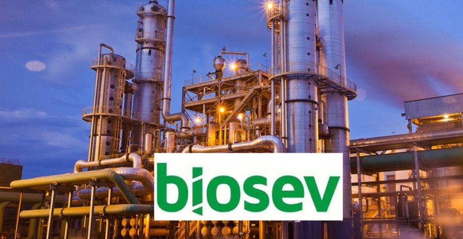 Biosev: Conversas com raízen são preliminares; foco é entregar ...