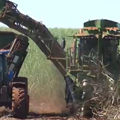 Toda colheita de cana no Paraná deve ser mecanizada até 2025, diz ...