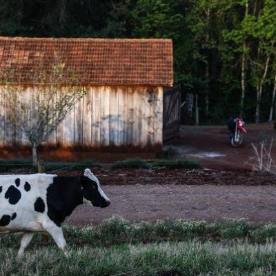 Crédito para pequeno produtor é um desafio, afirma CNA | Brasilagro