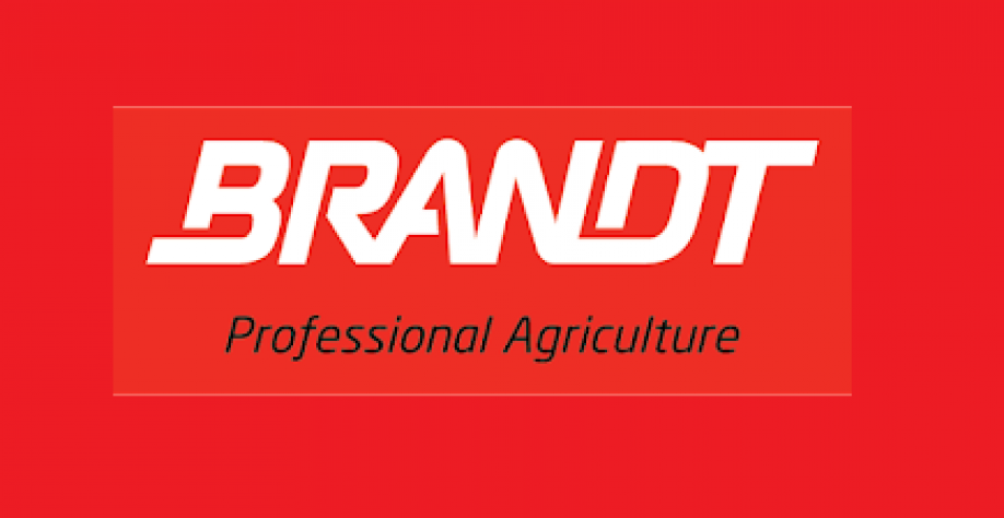 Fertilizantes: Brandt quer quadruplicar produção no Brasil até fim de ...