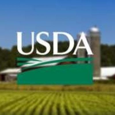 Estudo do USDA destaca liderança do Brasil em produtividade ...