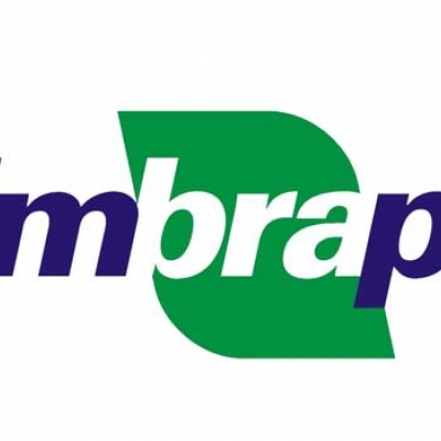 Prestes a completar 50 anos, Embrapa vive crise de identidade | Brasilagro