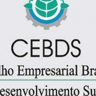 Mercado regulado de carbono: O que o CEBDS quer para o país | Brasilagro