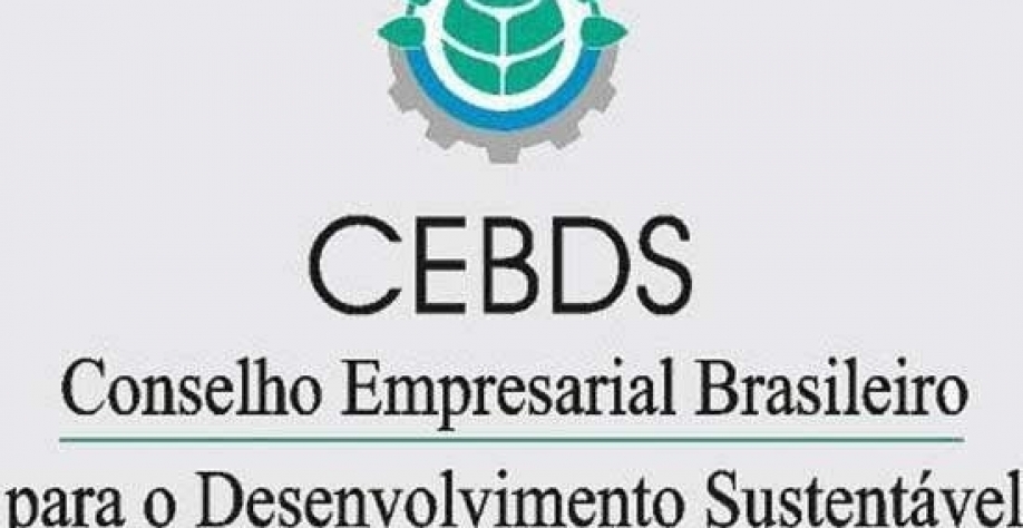 Mercado regulado de carbono: O que o CEBDS quer para o país | Brasilagro