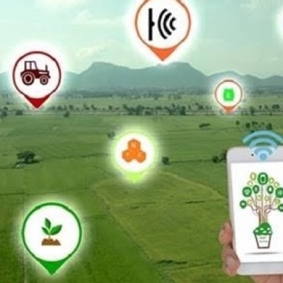 Revolução na fazenda: 5 usos inteligentes para IoT e edge cloud ...