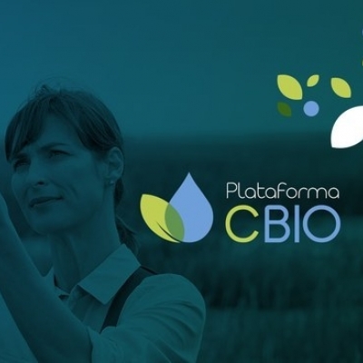 Preço médio do CBio ultrapassa R$ 200, diz Itaú BBA | Brasilagro