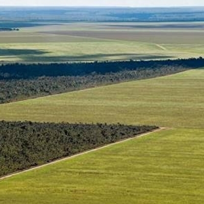 Soja avança e já ocupa 10% do cerrado, mostra levantamento do MapBiomas ...