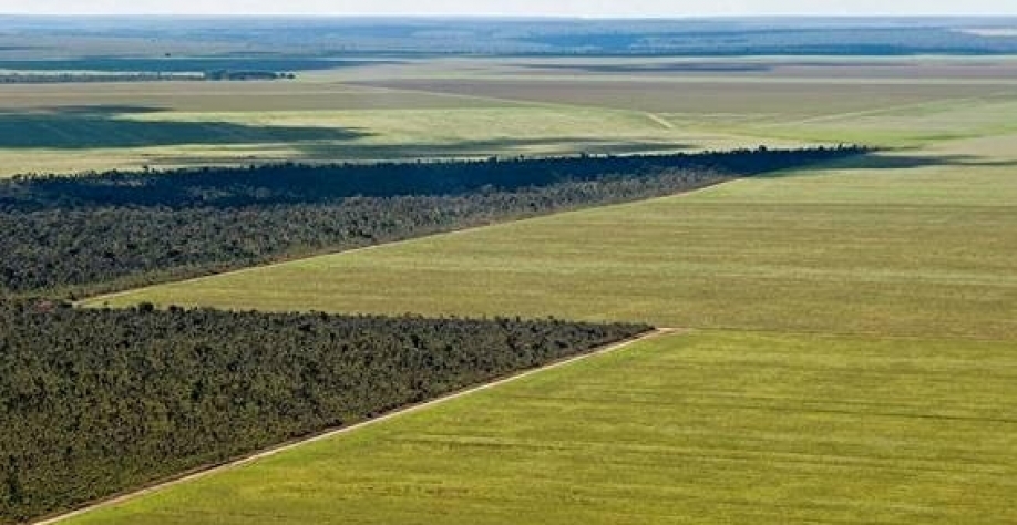 Soja avança e já ocupa 10% do cerrado, mostra levantamento do MapBiomas ...