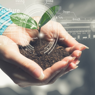 Lula quer Embrapa atuante, mas verá debandada de pesquisadores ...