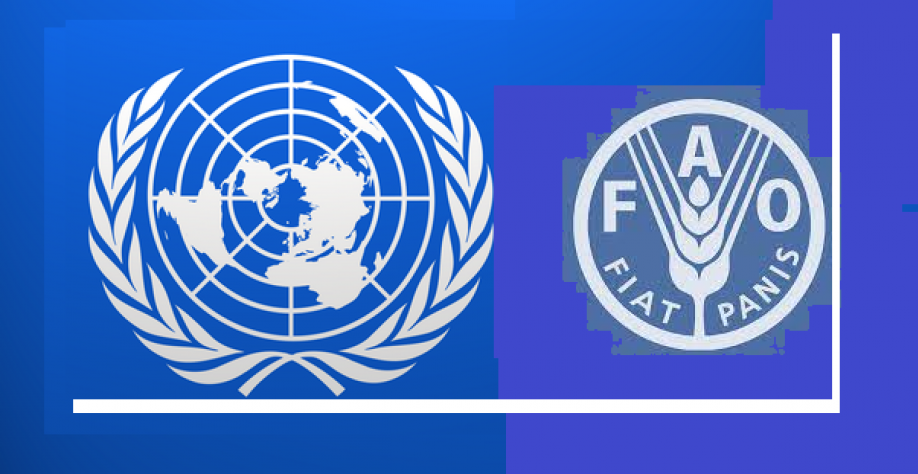 Índice de Preços de Alimentos recua pelo 7º mês consecutivo | Brasilagro