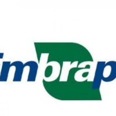 Embrapa, 50, deu os rumos da agropecuária do Brasil | Brasilagro