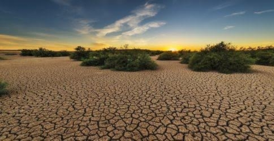 Clima seco reduz projeção para a safra de grãos da UE | Brasilagro