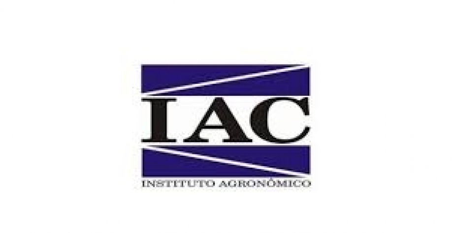 Cana: Programa do IAC divulga pesquisa com usinas mais produtivas ...