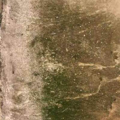 Rios se aproximam de seca histórica em pontos da Amazônia | Brasilagro