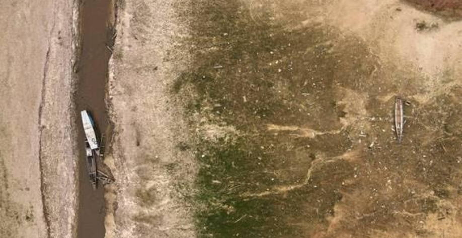 Rios se aproximam de seca histórica em pontos da Amazônia | Brasilagro