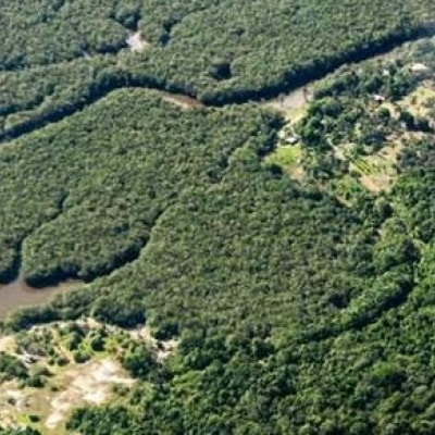 Fundo Amazônia: inspiração global para proteção climática? | Brasilagro