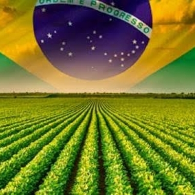 Brasil eleva presença mundial no agro e lidera exportação de dez ...